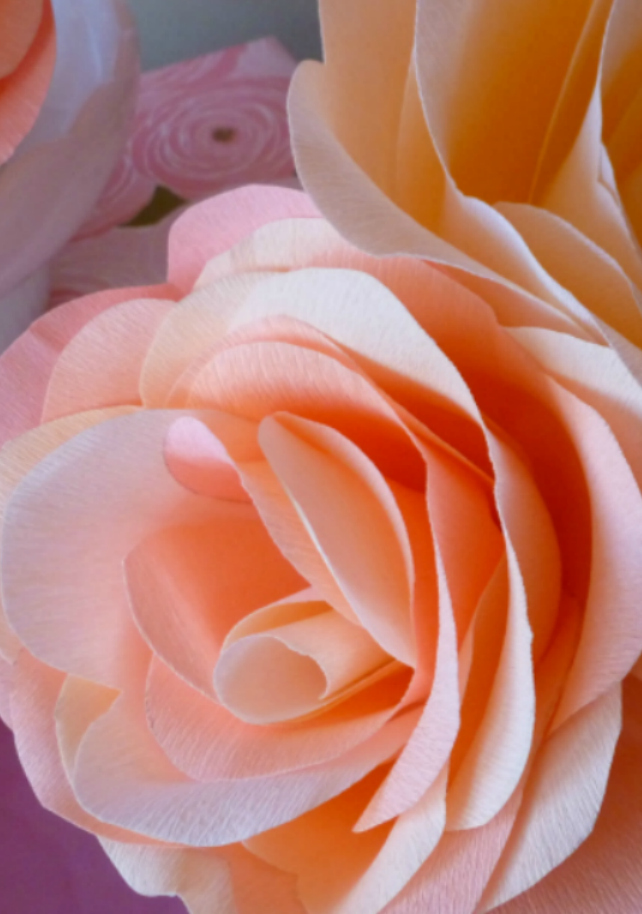 Easy DIY Giant Rose From Crepe Paper Design Improvised